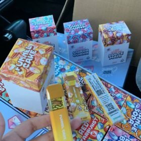 Shop - Favorite Disposables